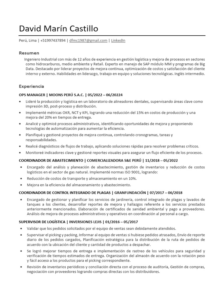 David Marin Castillo CV | PDF | Logística | Business