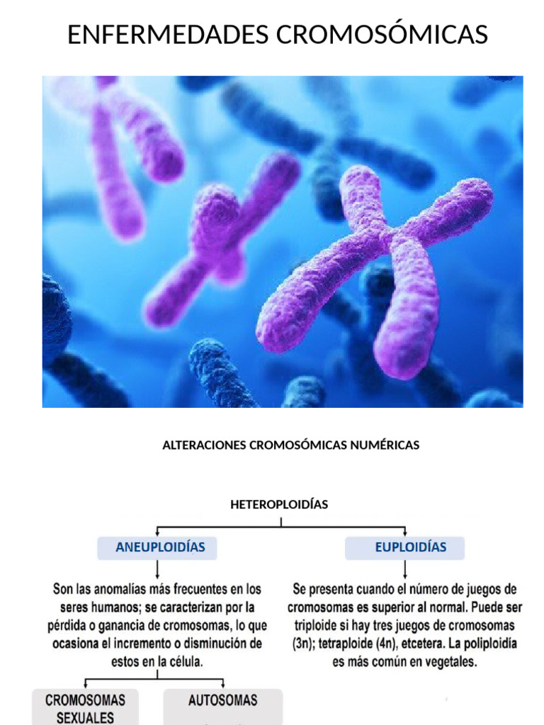 5C Alteraciones Cromosómicas Numéricas | PDF | Enfermedades y trastornos | Nucleo celular