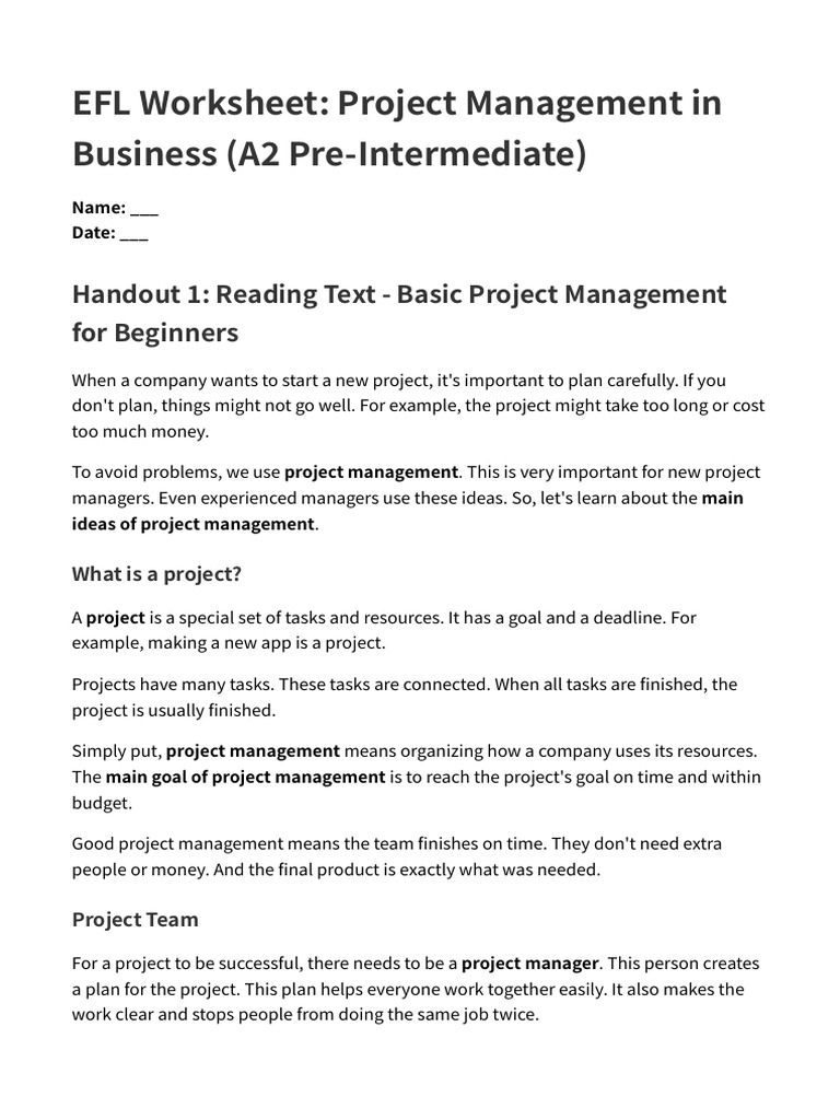 EFL Project Management Basics | PDF | Project Management | Goal