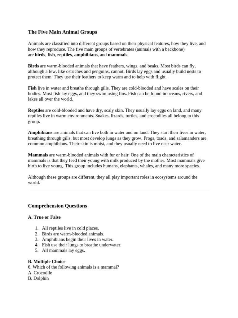 Overview of Five Animal Groups | PDF