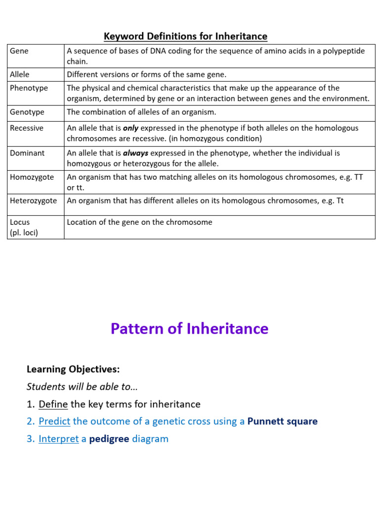 2C.2 Patterns of Inheritance | PDF | Dominance (Genetics) | Zygosity