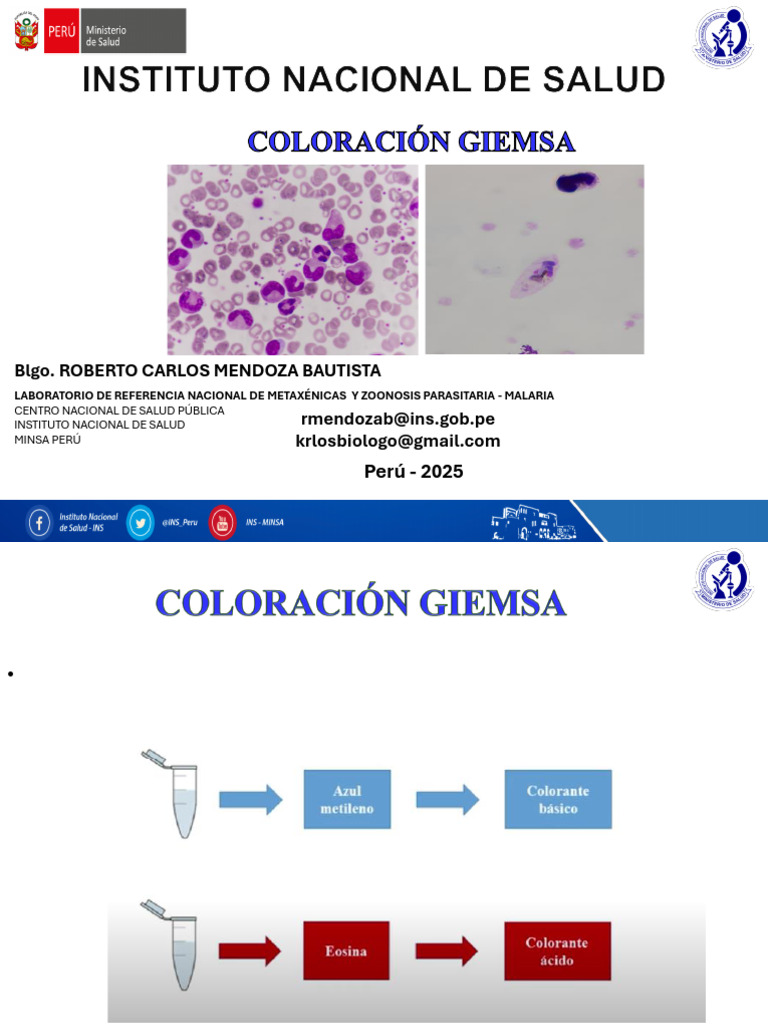 Giemsa 2025 3 | PDF | Solución tampón | Tinción