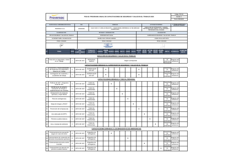 PGS-02 Programa Anual de Capacitaciones | PDF