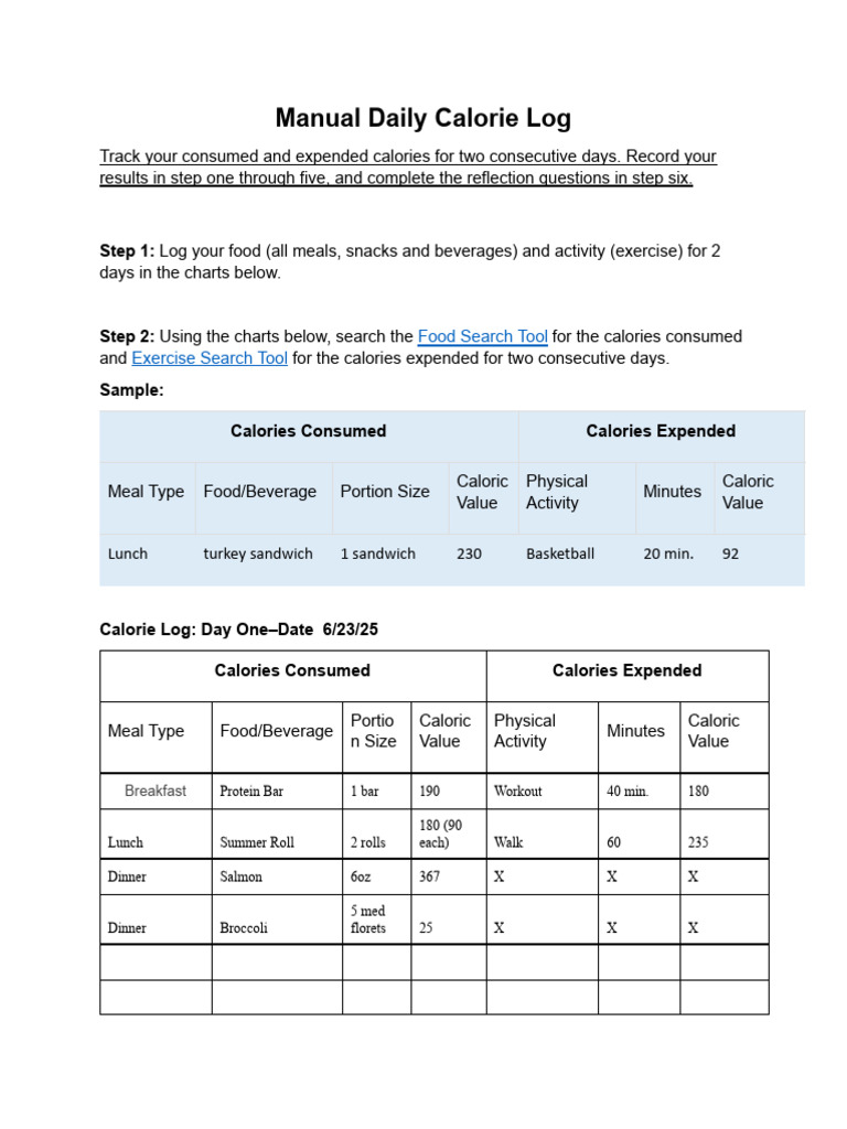 Daily Calorie Tracking Guide | PDF | Meal | Dieting
