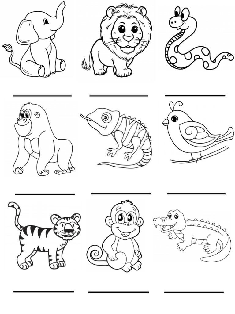 Animales Colorear | PDF