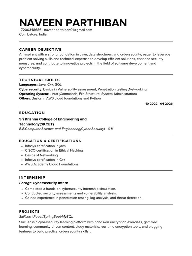 Naveen Resume | PDF