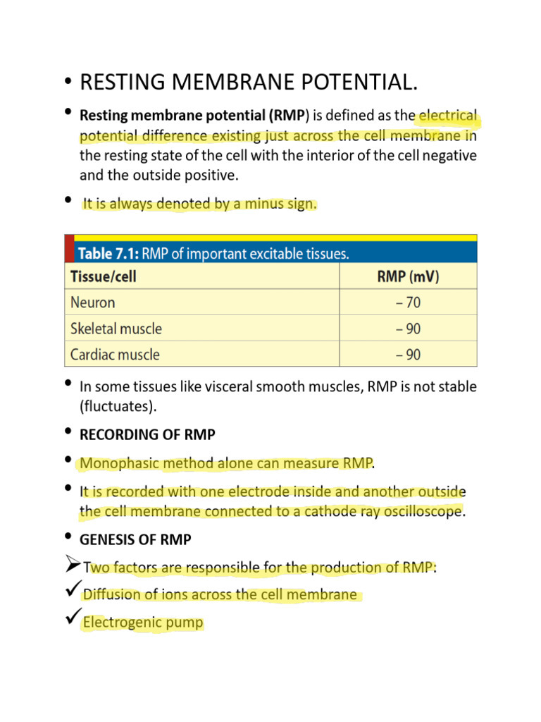 Understanding Resting Membrane Potential | PDF | Membrane Potential ...