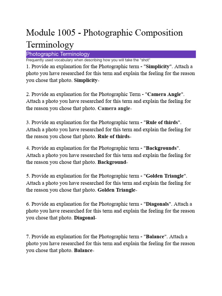 Module 1005 - Photography Composition | PDF