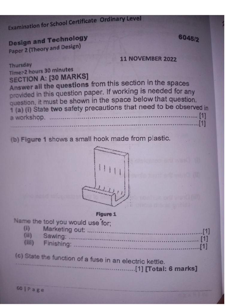 DT SC 2022 P2 G12 | PDF
