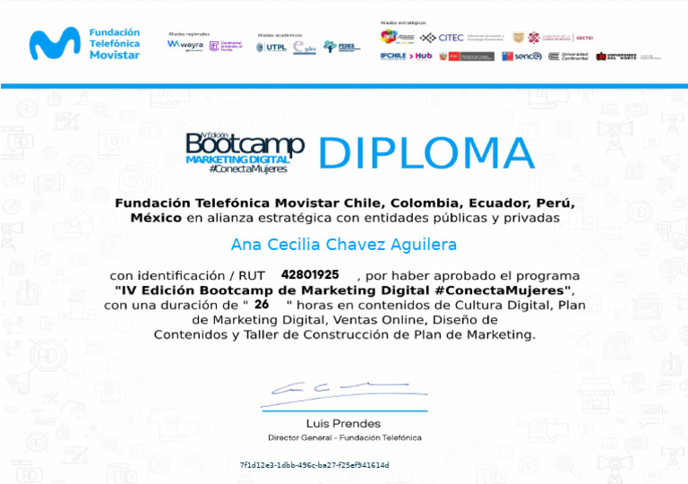 Bootcamp - Certificado 2024 | PDF
