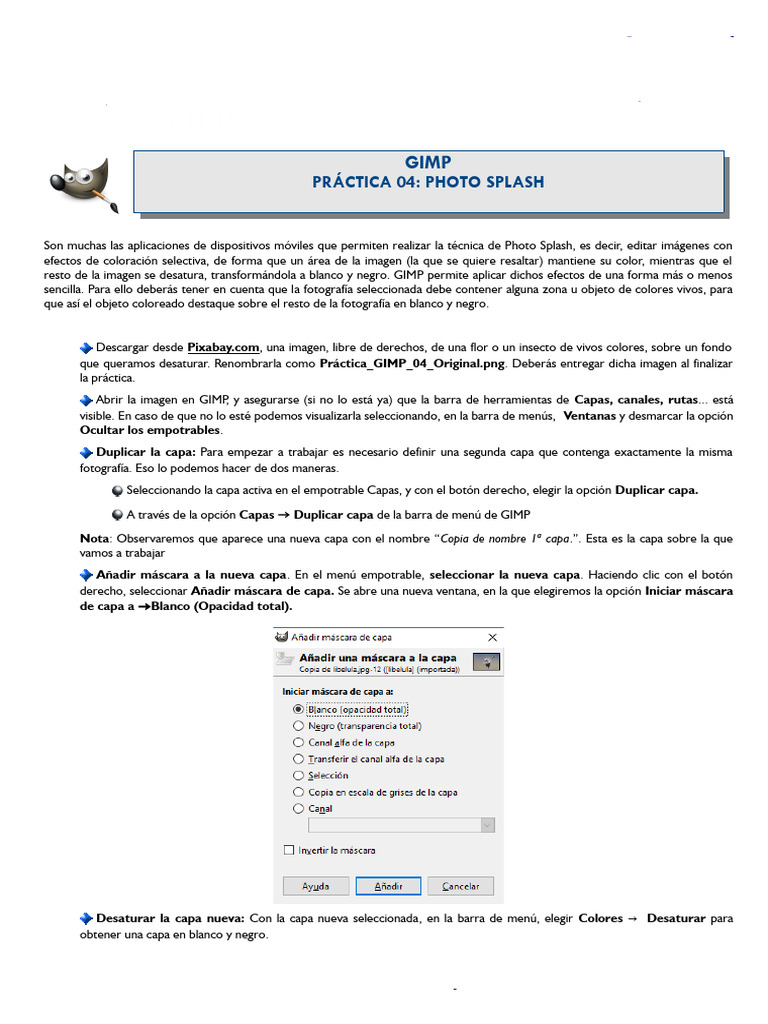 GIMP Práctica 3 | PDF