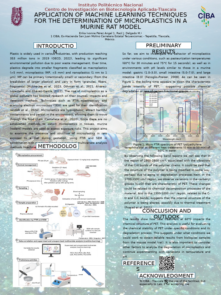 Microplastics Detection in Rat Models | PDF | Environmental Science ...