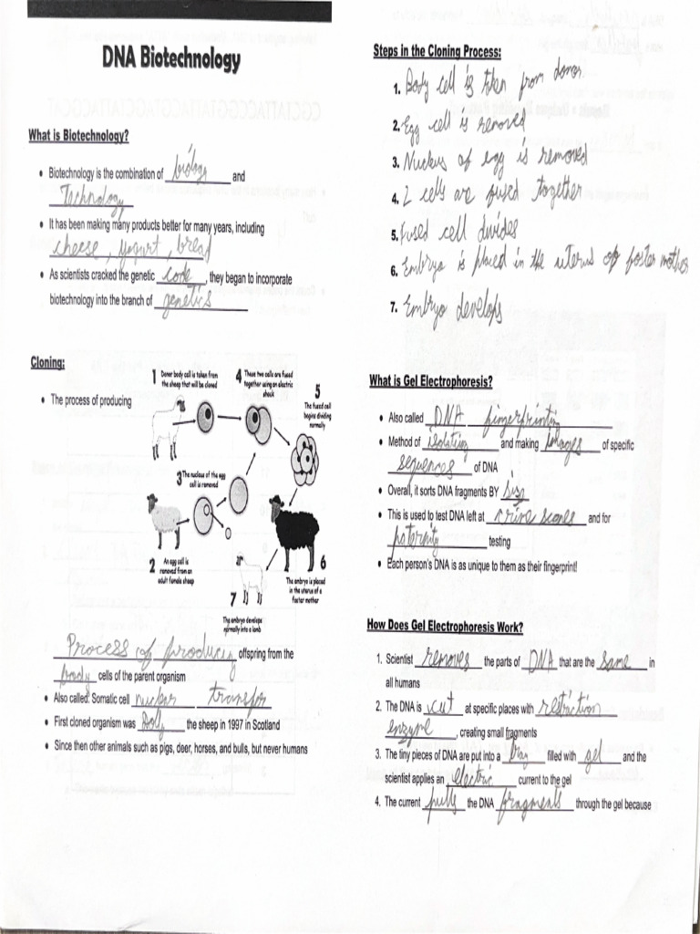 DNA Biotechnology Guided Notes and Practice | PDF
