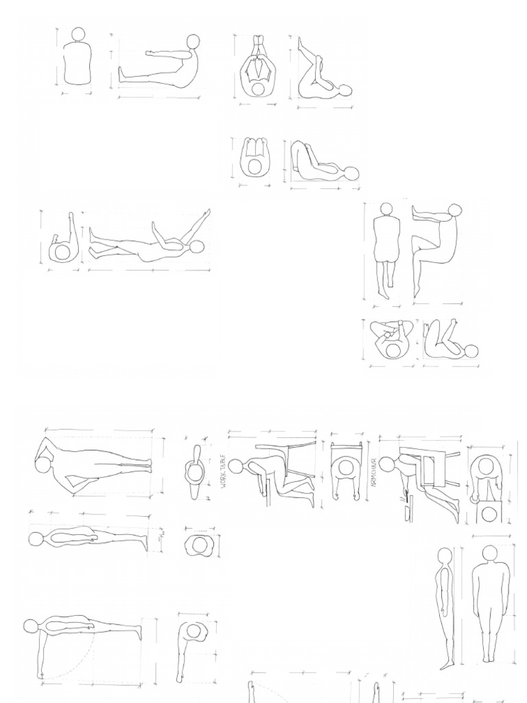 01 Assignment Studio 2 Antropometry Exe 1 Mesurements of Different | PDF