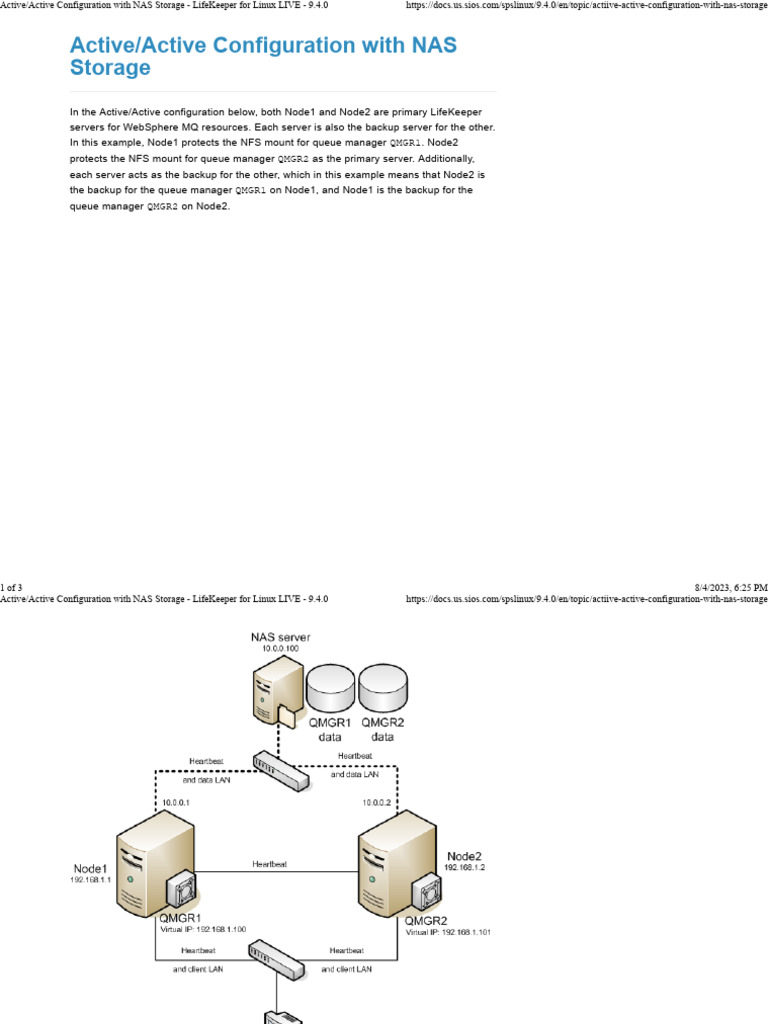 Active - Active Configuration With NAS Storage - LifeKeeper For Linux ...