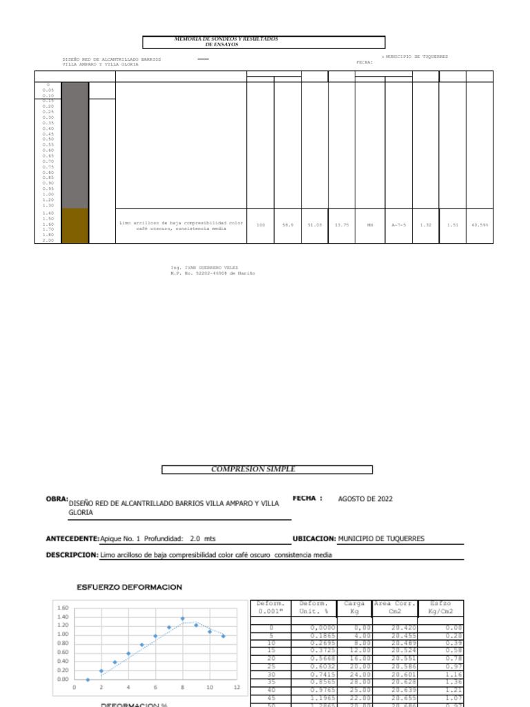 Ensayos Apique 1 | PDF