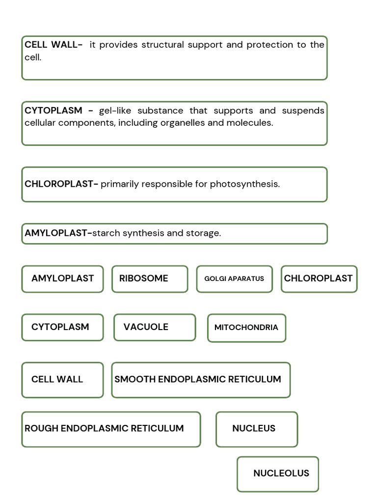Cell Organelle Matching Science Activity Digital Worksheet in Green ...