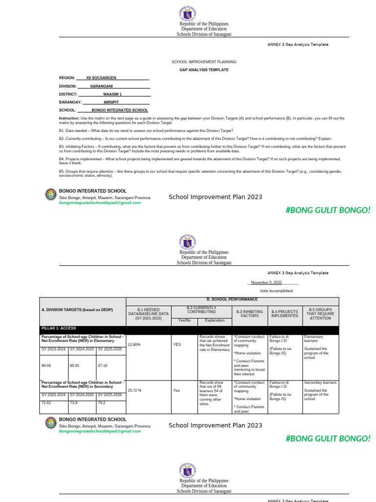 Annex 3. Gap-Analysis-final 2 | PDF | Literacy | Learning