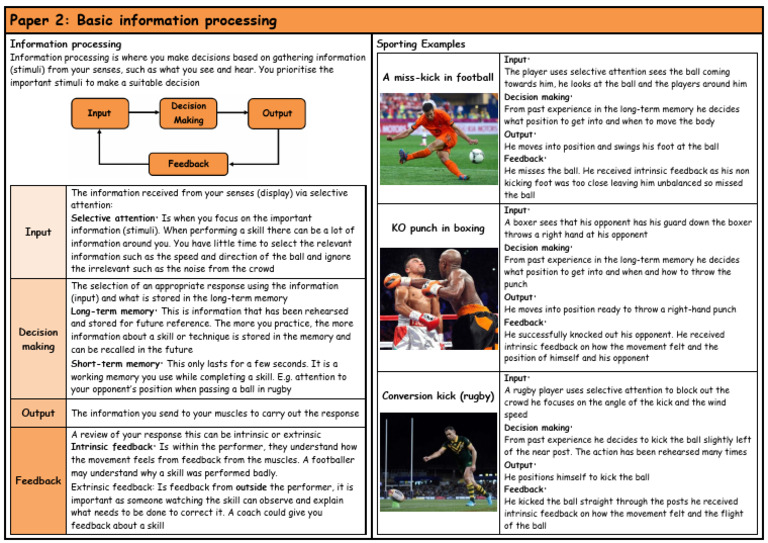 03 Ko Information Processing | PDF | Memory | Feedback