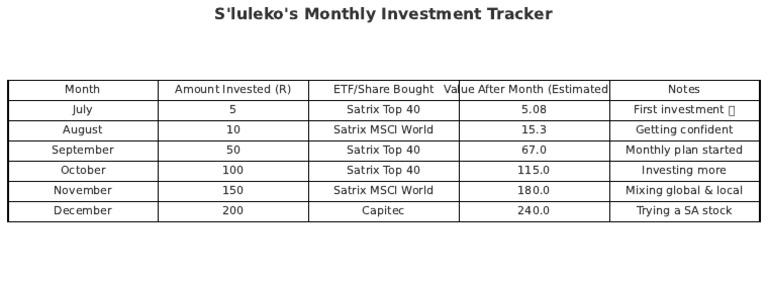 S'Luleko Investment Tracker | PDF