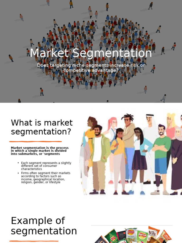 Market Segmentation Final | PDF | Market Segmentation | Marketing