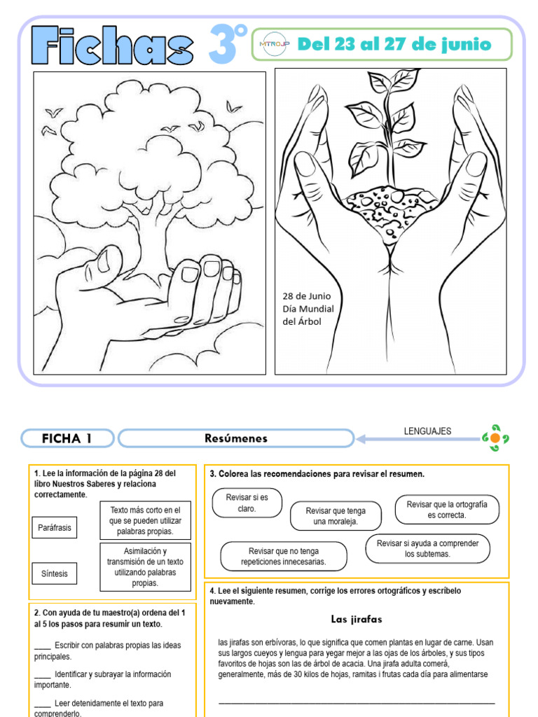 Fichas 3° | PDF | Democracia | Ideologías políticas