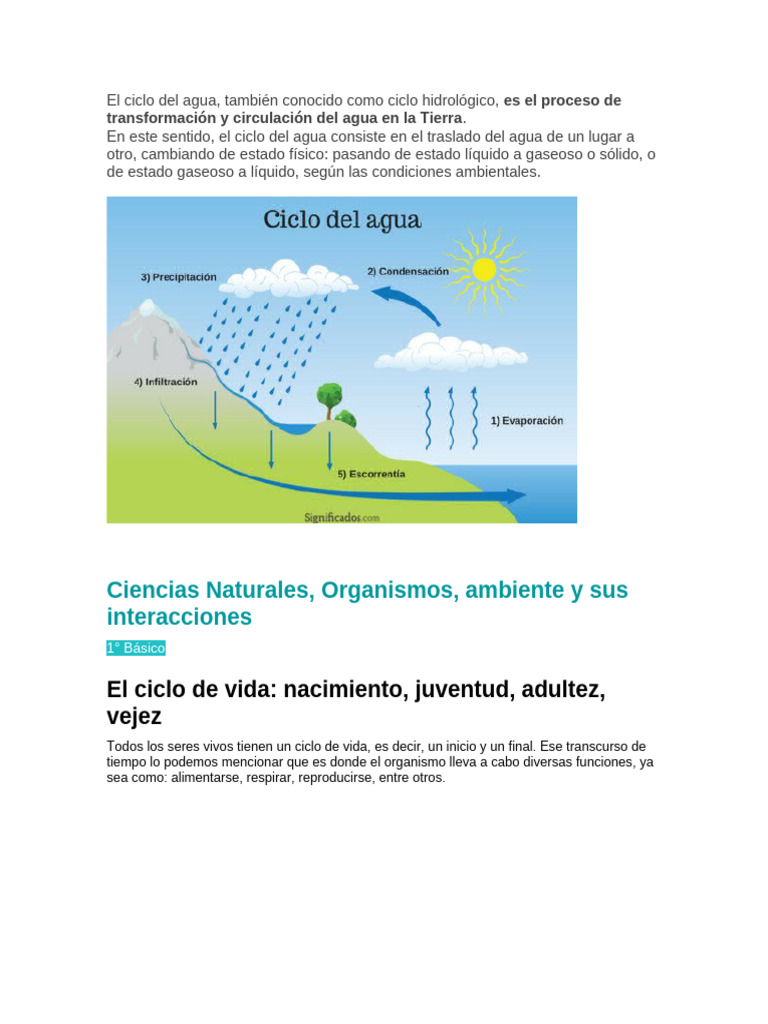 Invest. Pract.2 | PDF | Reproducción | Adultos