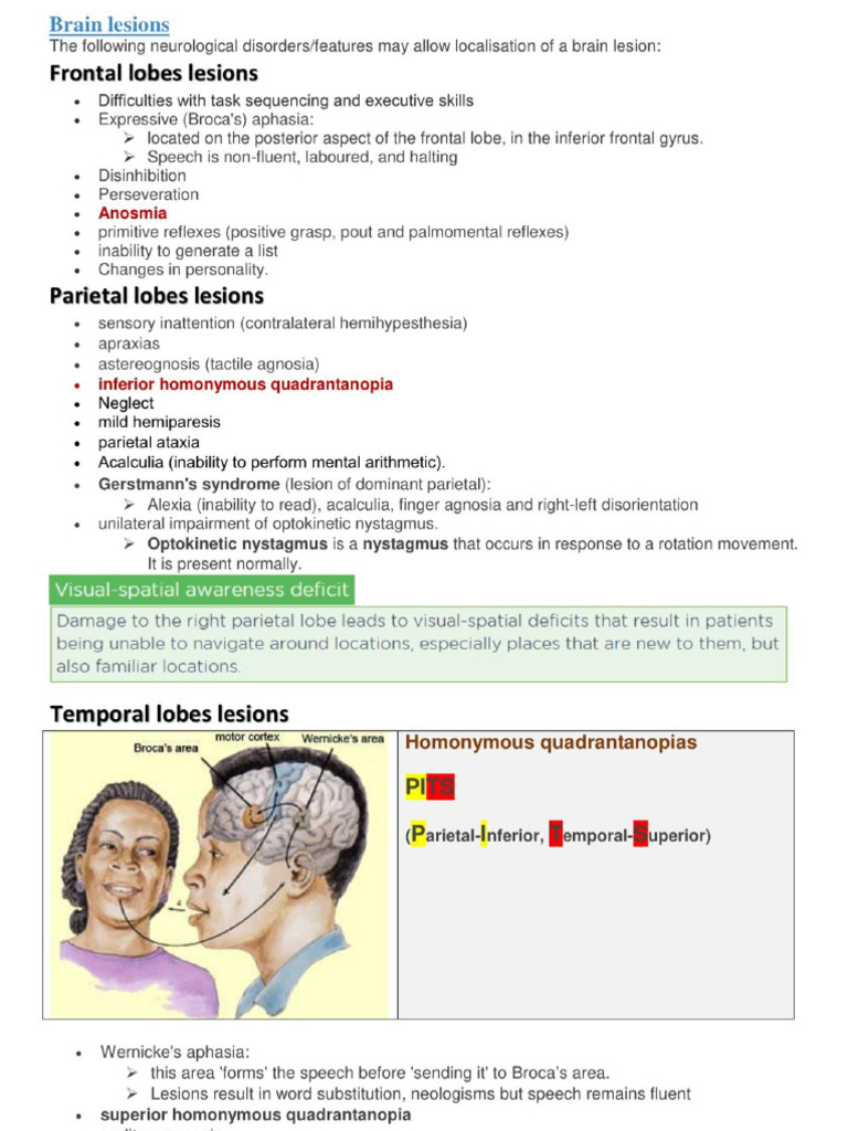 Lesions of Brain Cortex | PDF