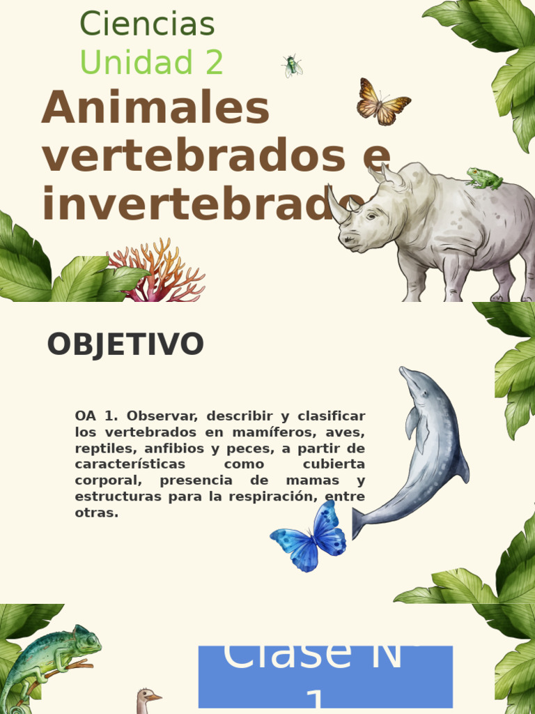 Vertebrados | PDF | Vertebrados | Esqueleto