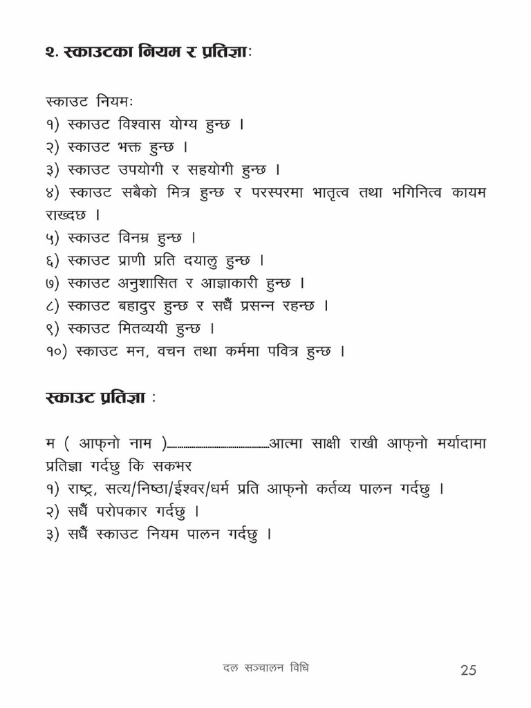 Scout Rules and Laws | PDF