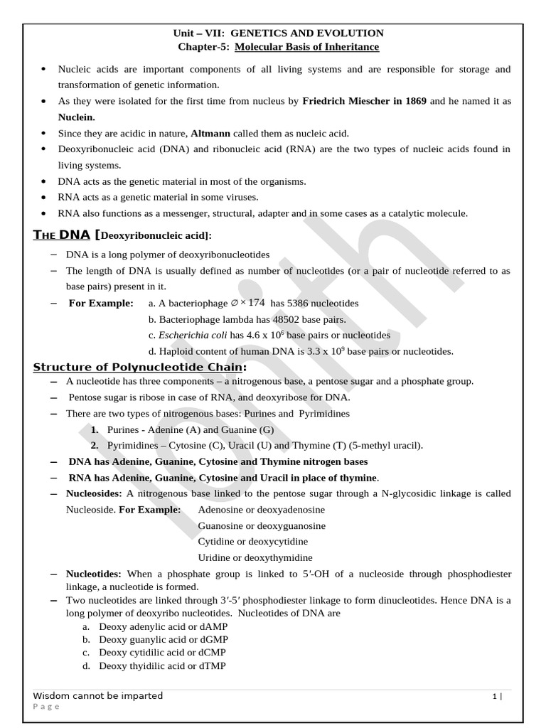 Molecular Basis of Inheritance Notes | PDF | Operon | Rna