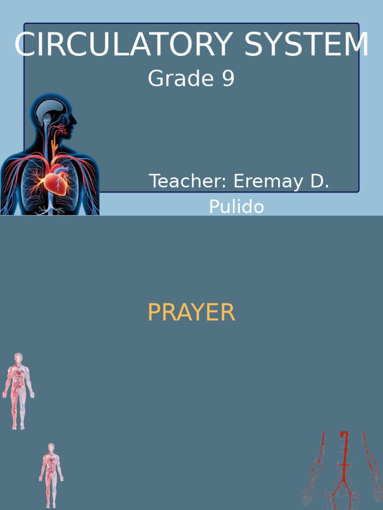 Grade 9 Circulatory System Overview | PDF | Circulatory System | Heart