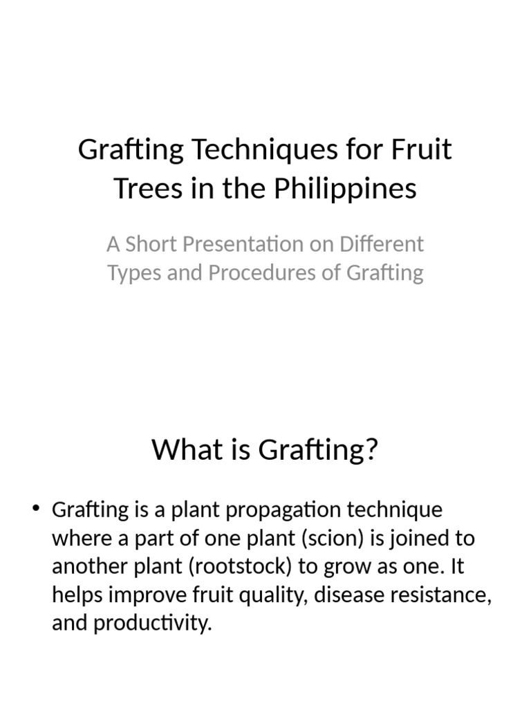 Grafting Techniques Philippines | PDF