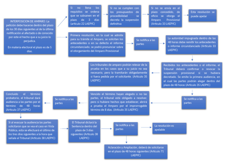 Esquema Del Amparo Constitucional | PDF | Gobierno | Justicia
