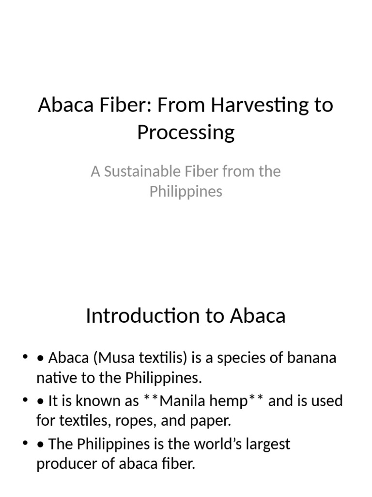Abaca Fiber: Harvesting to Processing Guide | PDF