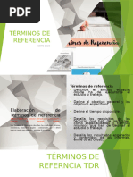 GUÍA PARA ELABORAR TÉRMINOS DE REFERENCIA - TDR | PDF | Marketing | Business