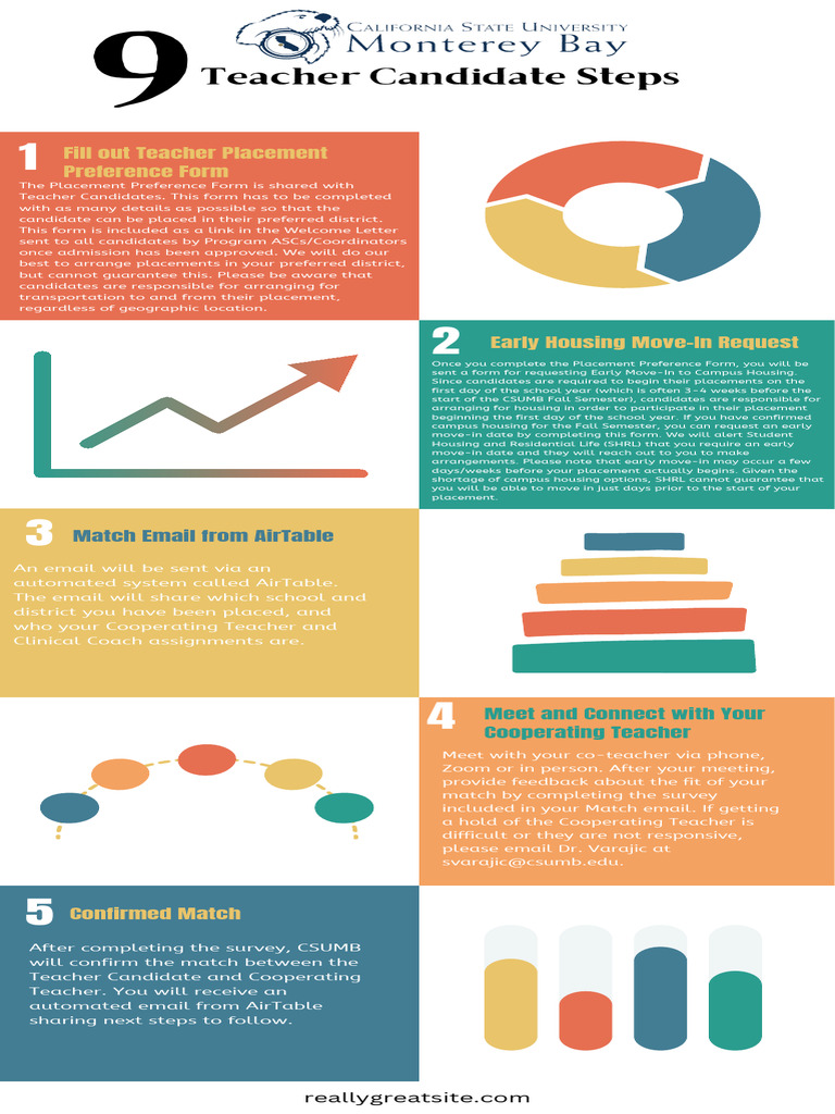 9 STEPS - Teacher Candidate | PDF