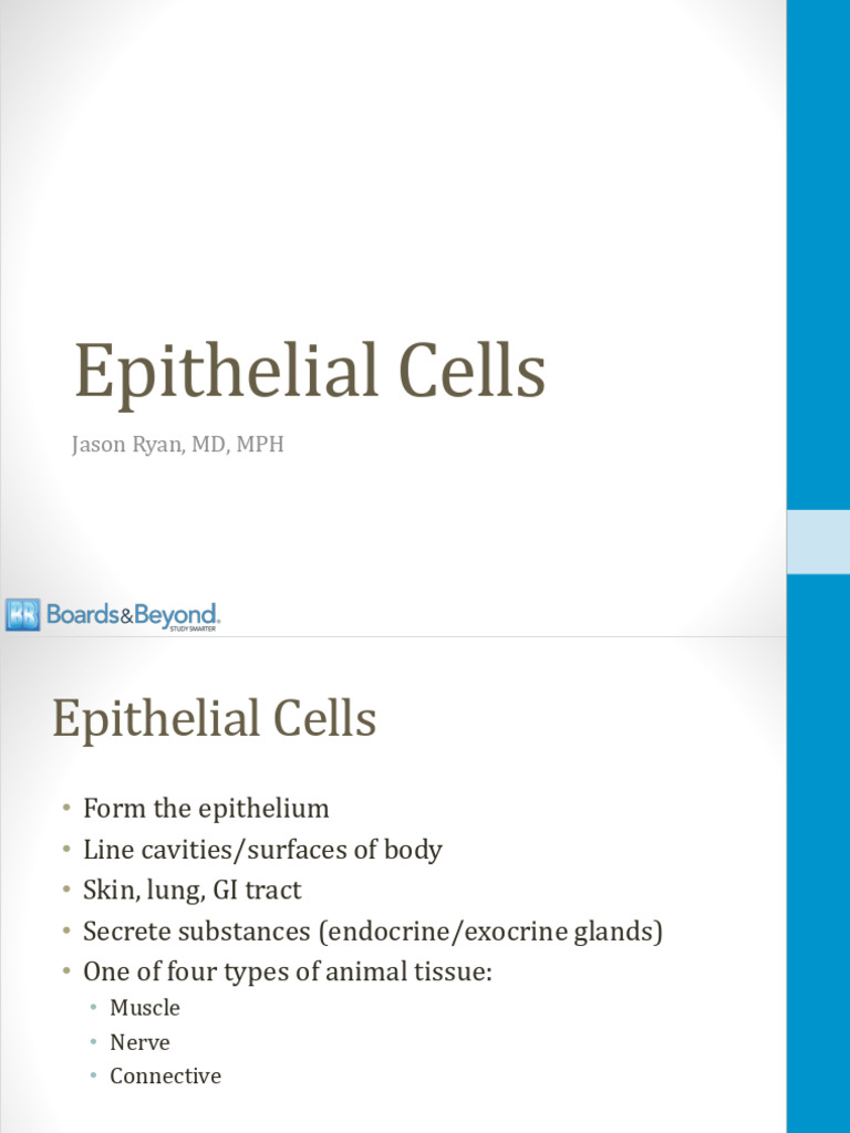 Epithelial Cells (Medicalstudyzone - Com) | PDF | Epithelium | Cell Membrane