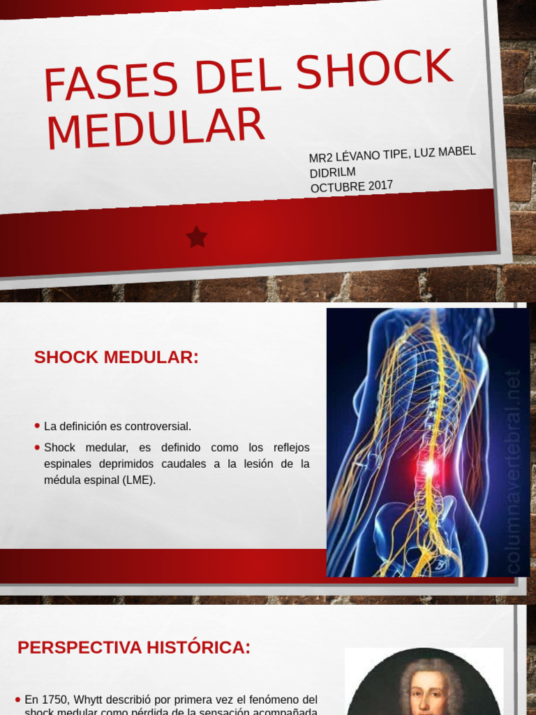 Fases Del Shock Medular (Luz) | PDF | Sinapsis | Axon