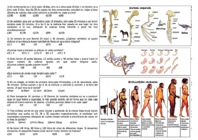 Problem As MCD MCM | PDF
