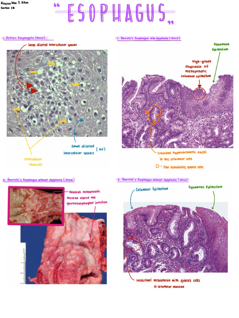Untitled (Draft) | PDF