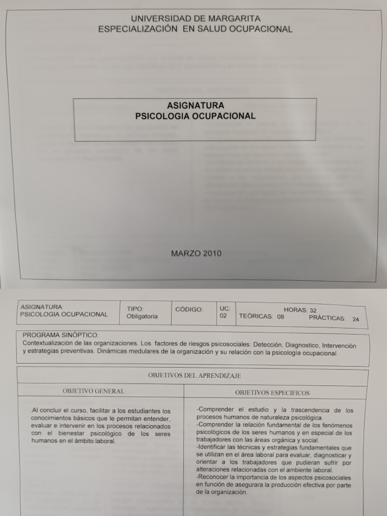 Psicología Ocupacional | PDF