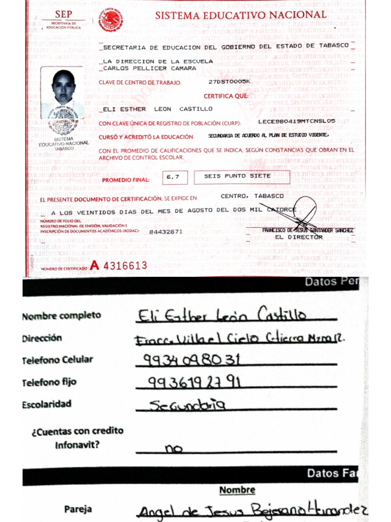 Documentación Eli | PDF