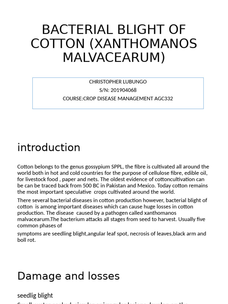 Bacterial Blight of Cotton | PDF | Plants | Botany