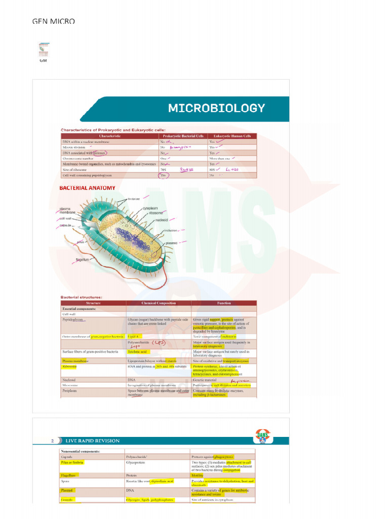 Microbiology LRR (Annotated) 250519 001452 | PDF