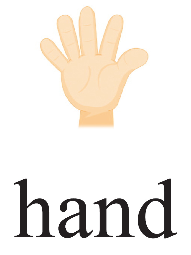 Hand | PDF