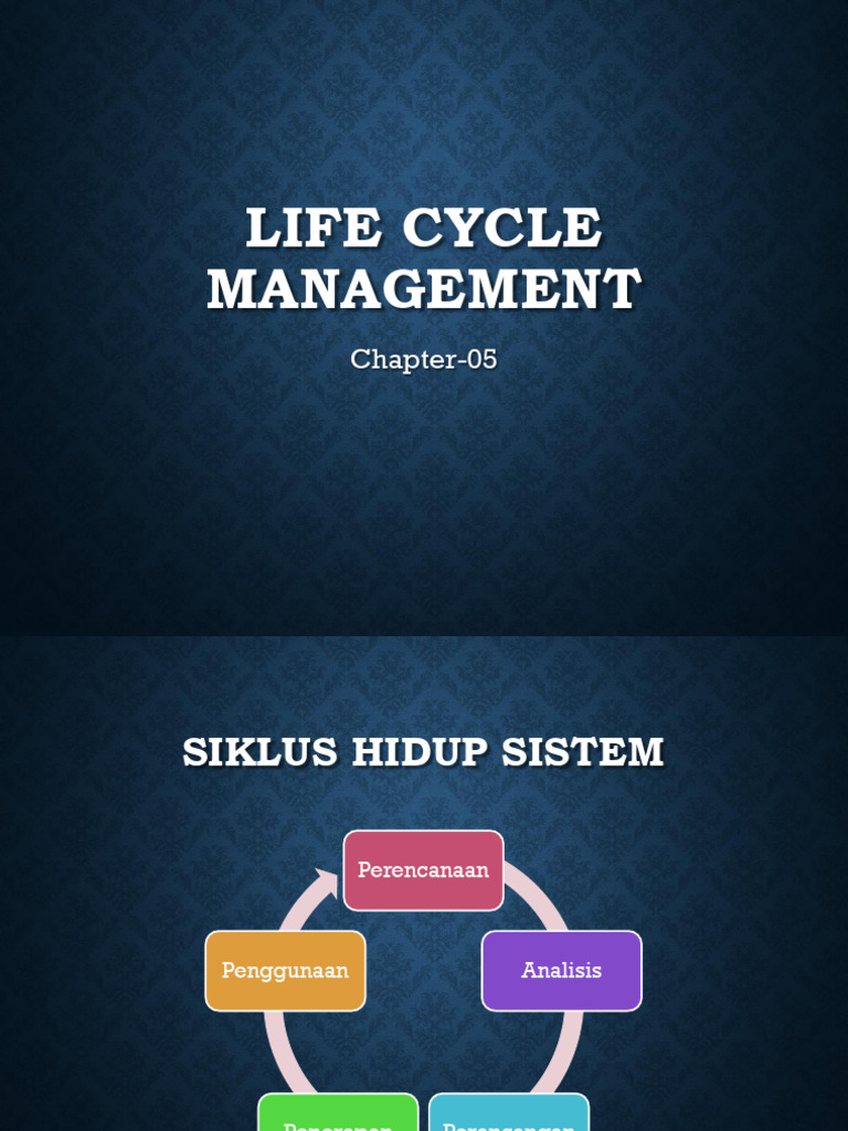 Manajemen Siklus Hidup Sistem | PDF