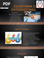 C 37 Cecostomia Colostomia | PDF | Intestino grueso | Abdomen