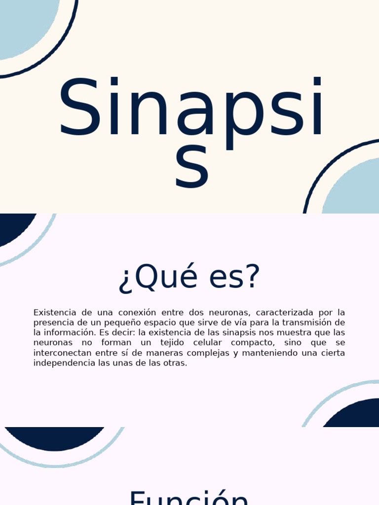 Tipos de Sinapsis Neuronal | PDF | Sinapsis | Neurona