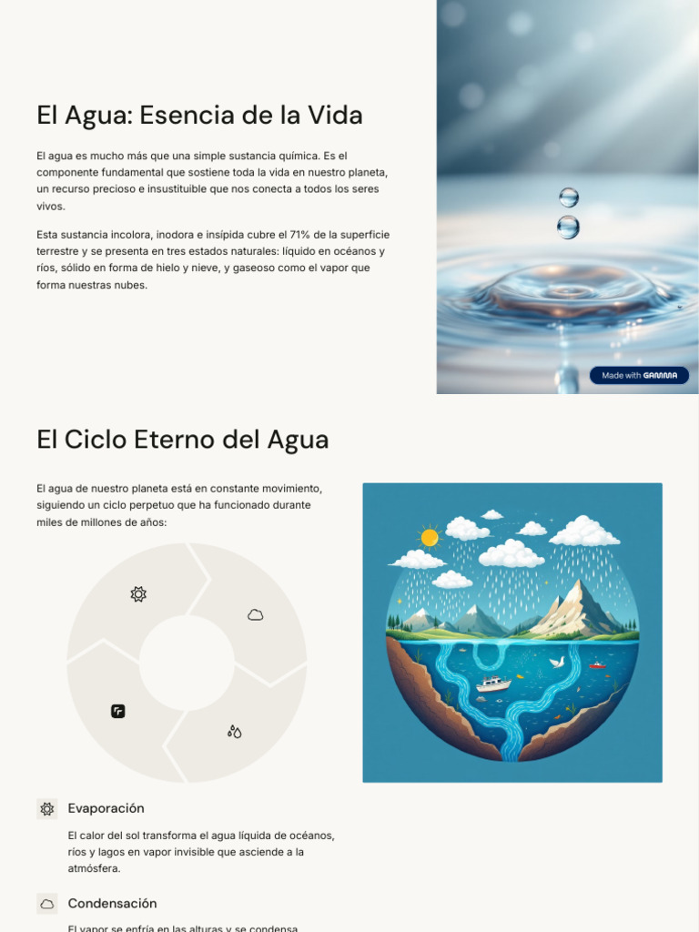 El Agua Esencia de La Vida | PDF